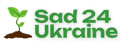 Саджанці хвойних, квітів плодово-ягідних рослин та кушів — Sad24ua